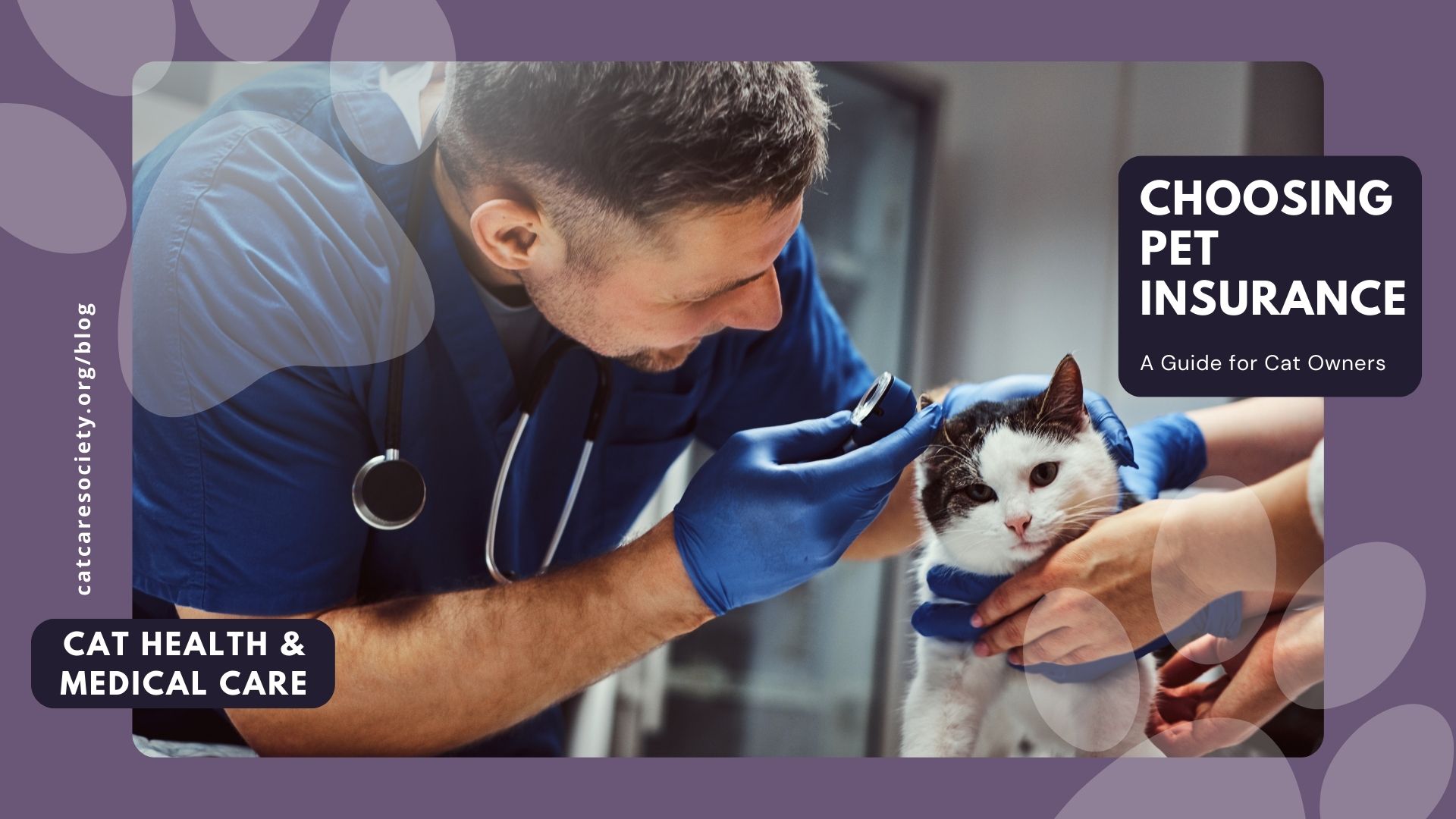 Choosing Pet Insurance: A Guide for Cat Owners | Cat Care Society