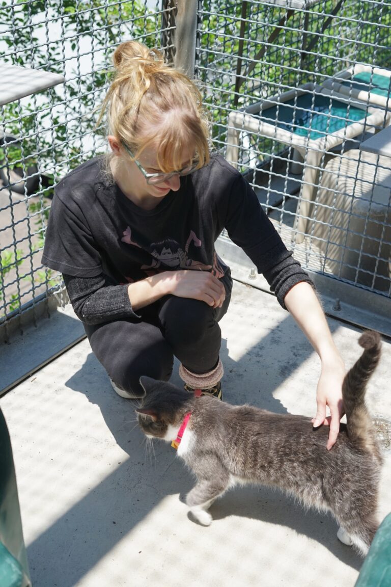 Meet the Shelter's Animal Care Team