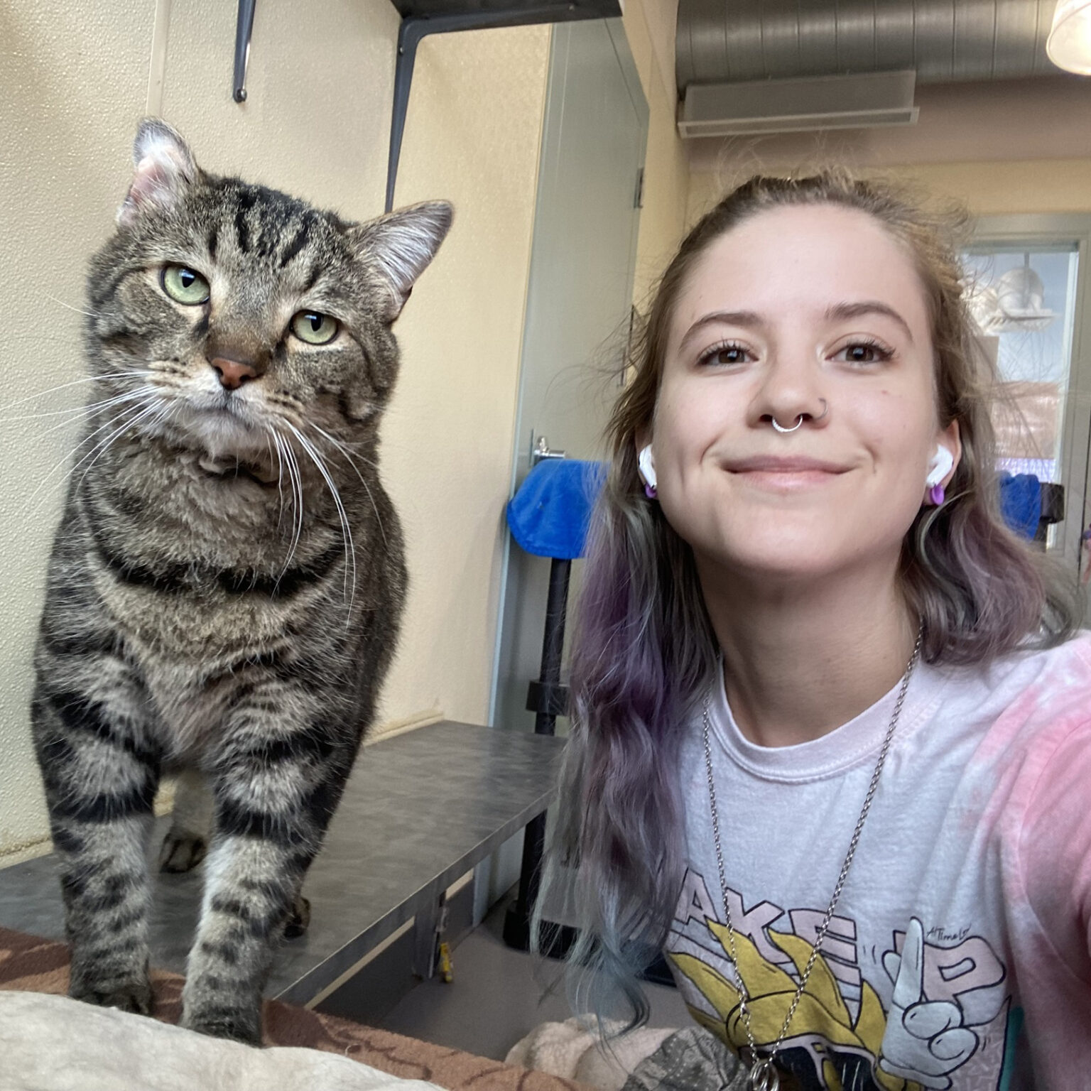 Cat Enrichment Program | Cat Care Society