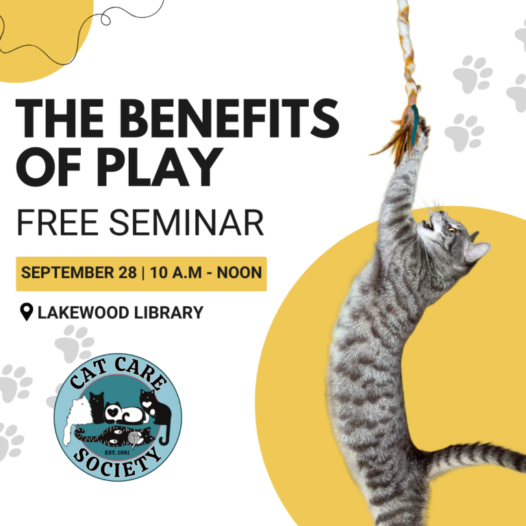 Events | Cat Care Society