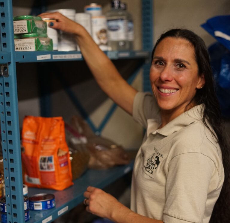 Volunteer | Cat Care Society