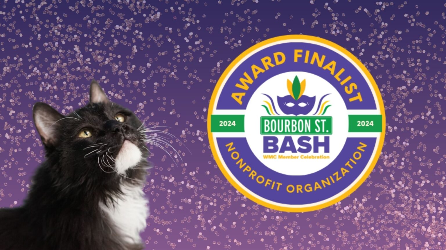 Cat Care Society is a Finalist in West Metro Chamber 2024 Bourbon St ...