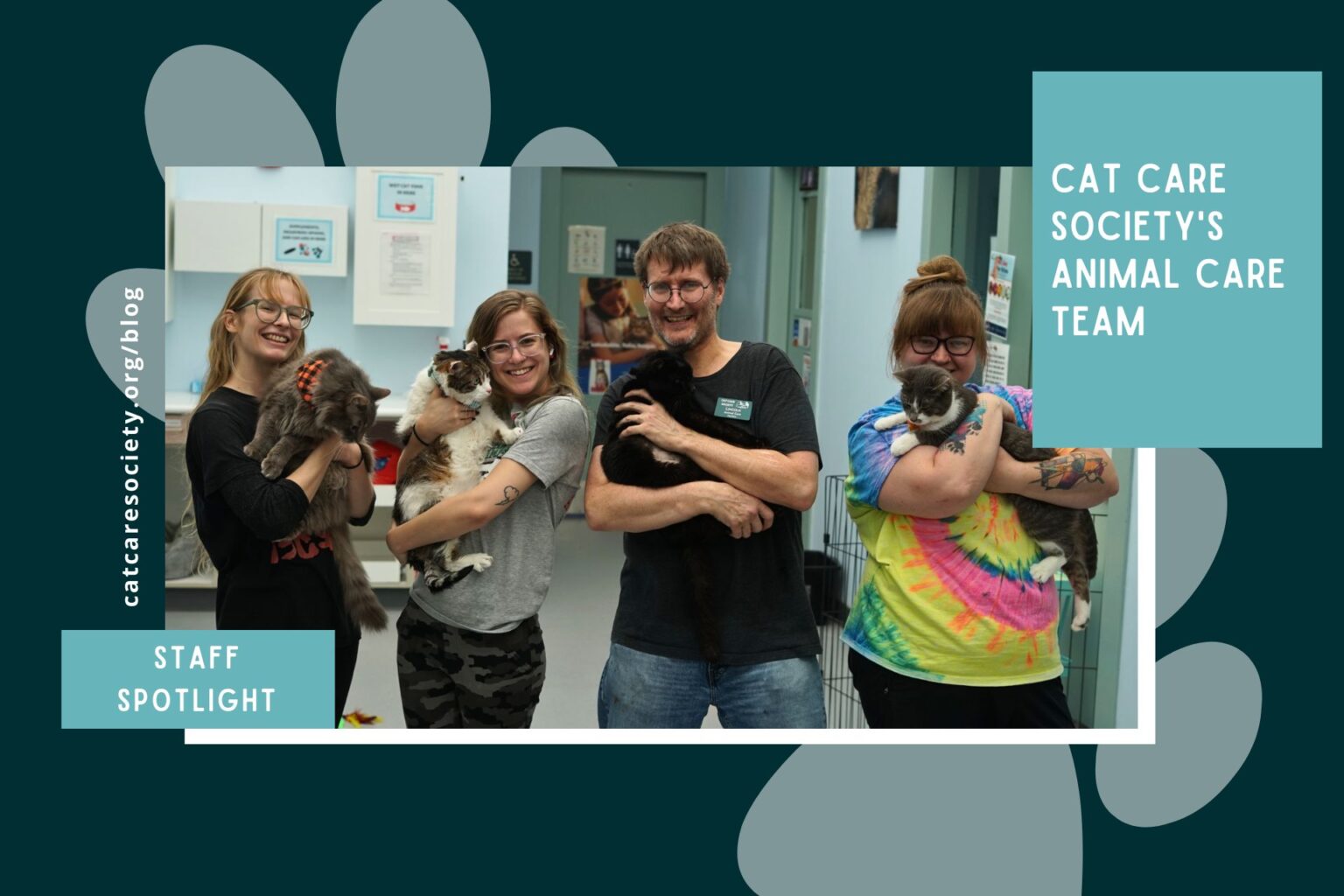 Meet the Shelter's Animal Care Team