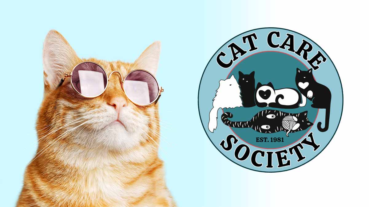 CCQ Spring 2023 | Cat Care Society