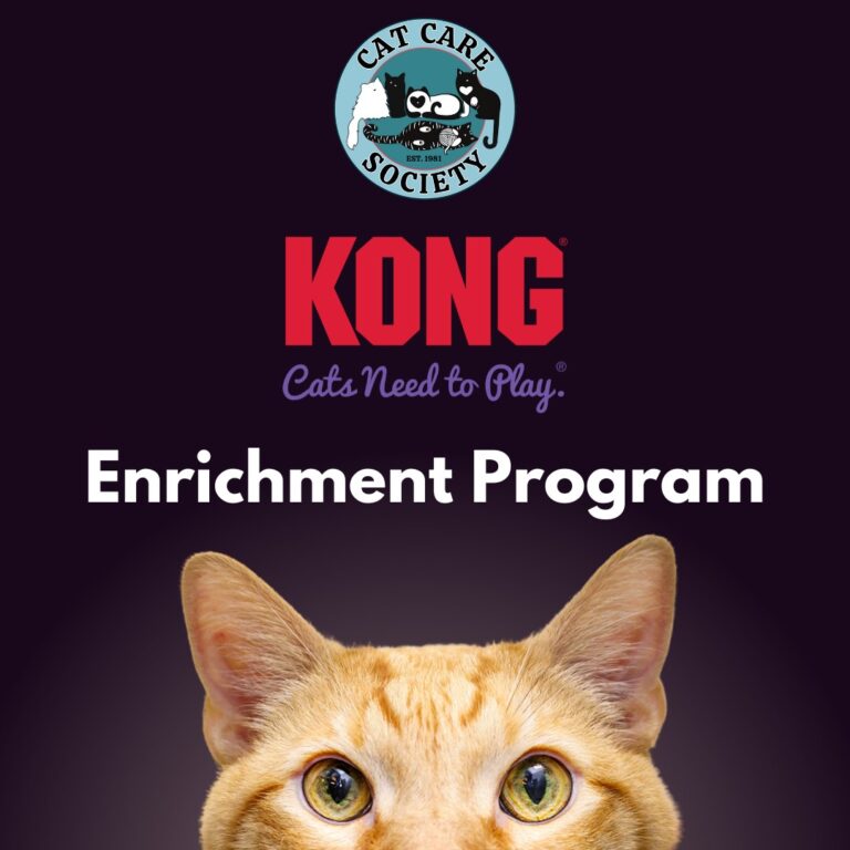 Cat Care Society and KONG Announce Partnership for a Cat-Focused Behavior & Enrichment Program ...